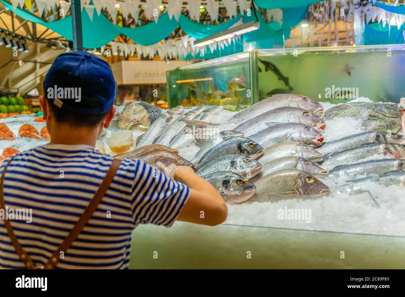 Showcase fish shop. Whole different types of fish lying on the ice ...