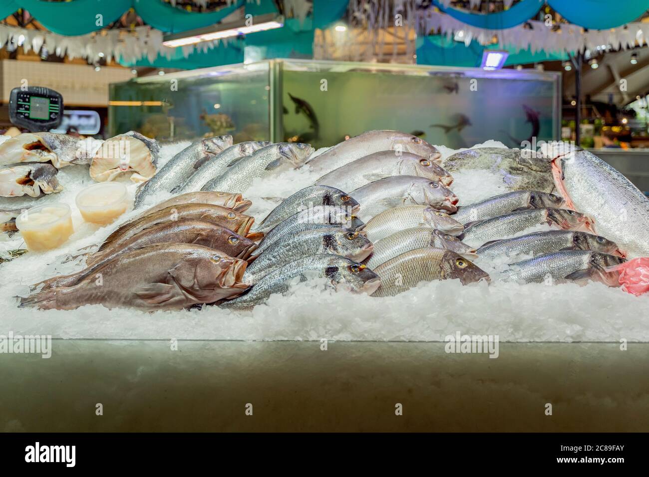 Showcase fish shop, different types of fish lying on the ice. Sale of ...