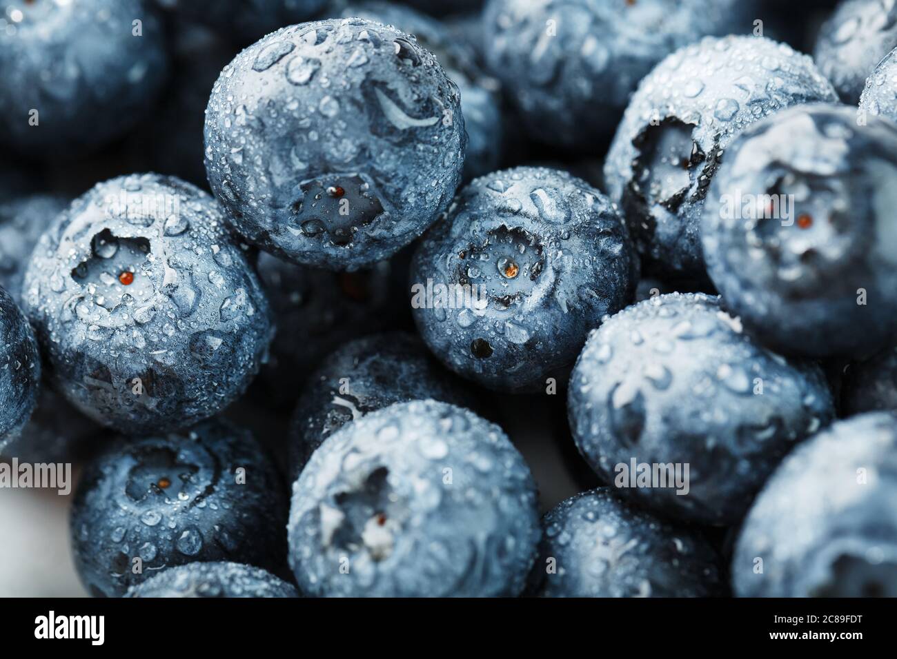 Blueberries close-up in full screen with dew drops Stock Photo - Alamy