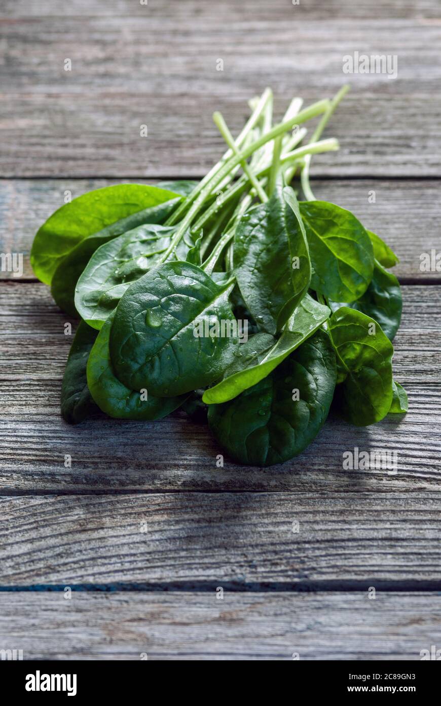 Baby Spinach Bunch