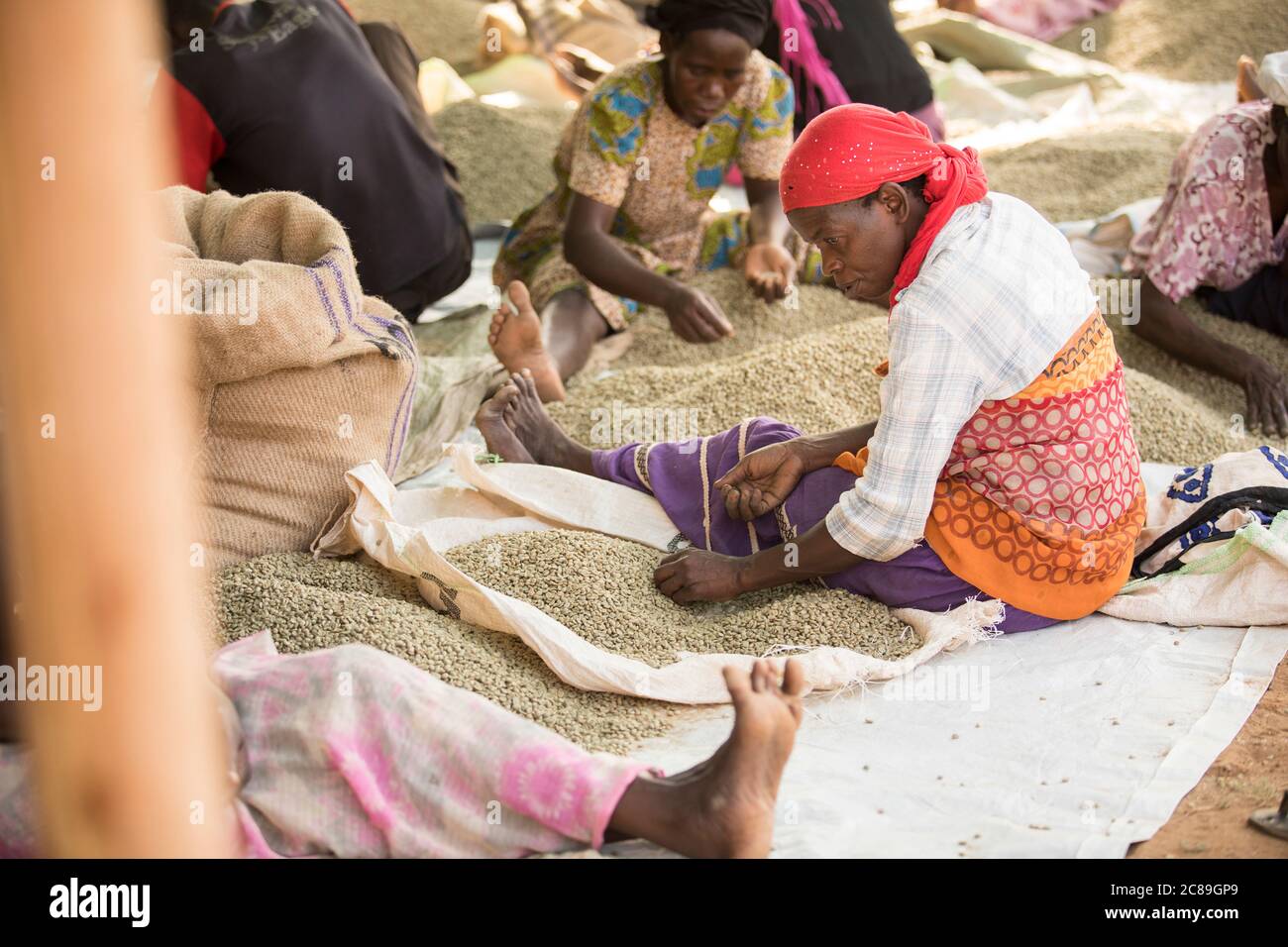 Women sorting beans hi-res stock photography and images - Alamy