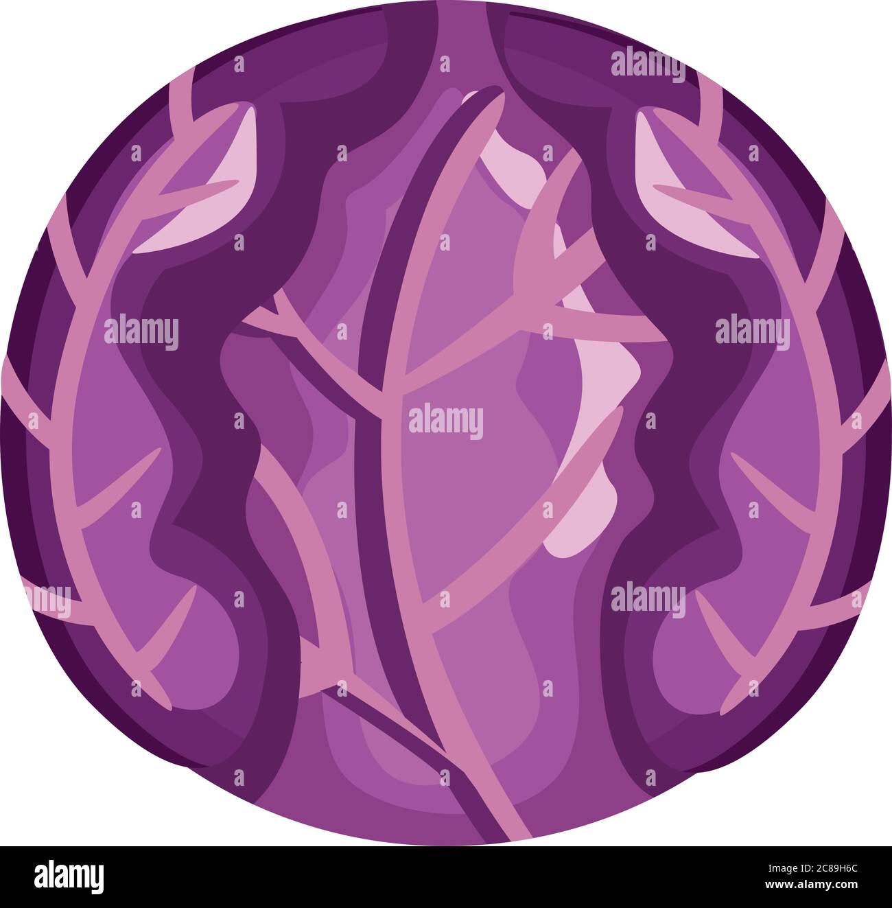red cabbage healthy vegetable detailed style icon vector illustration ...