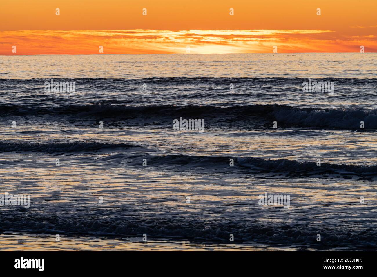Nehalem state park oregon hi-res stock photography and images - Alamy