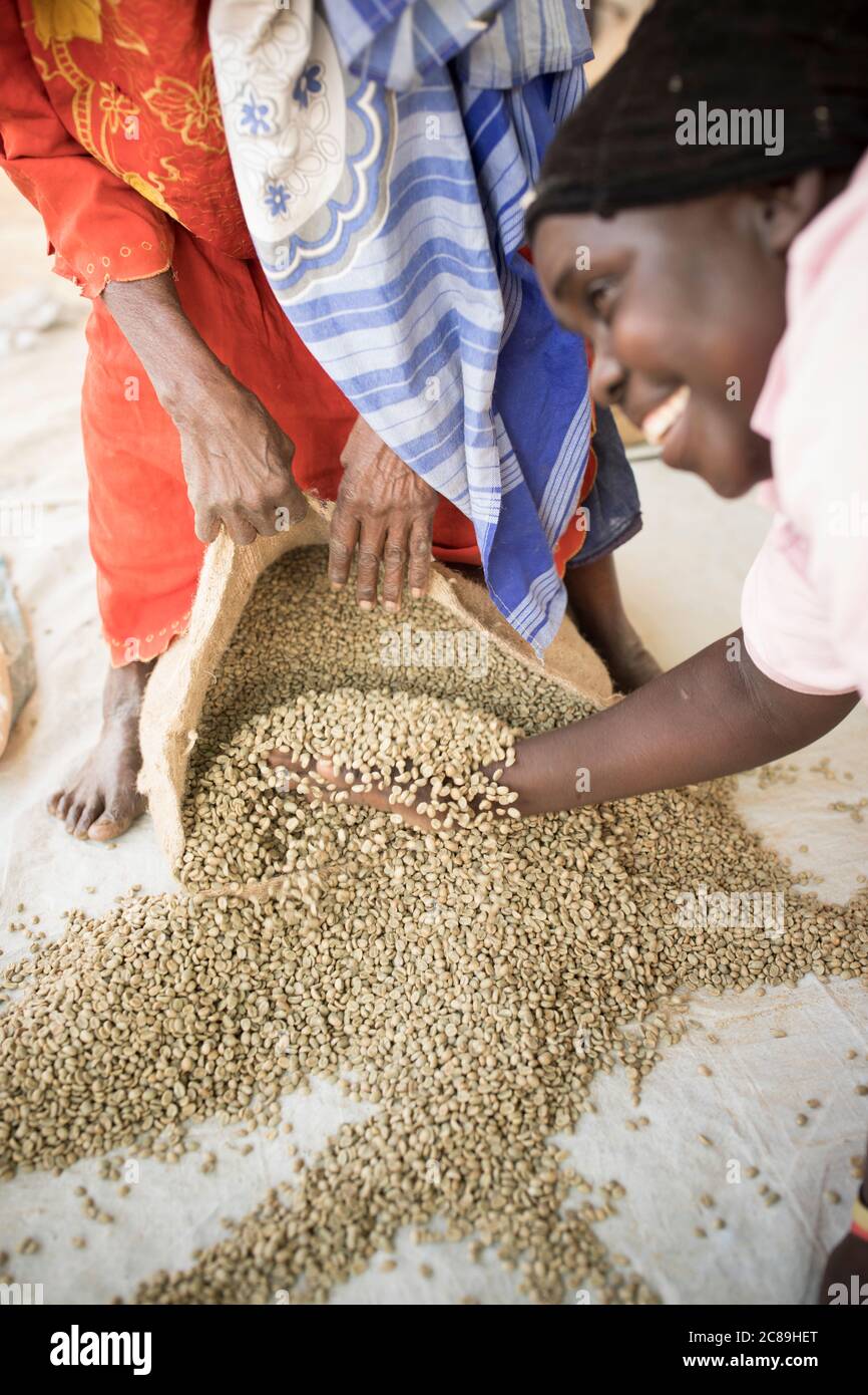 Coffee farmers uganda hi-res stock photography and images - Alamy