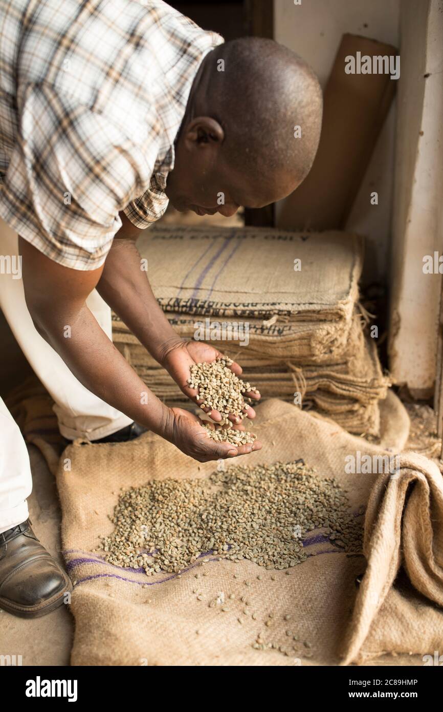 Quality checks hi-res stock photography and images - Alamy