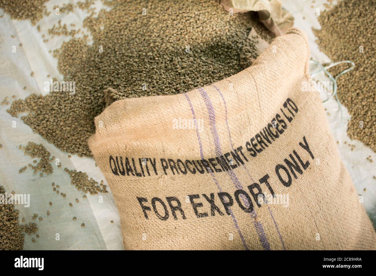 Burlap sacks of dried coffee beans are labeled "For export only" at a ...