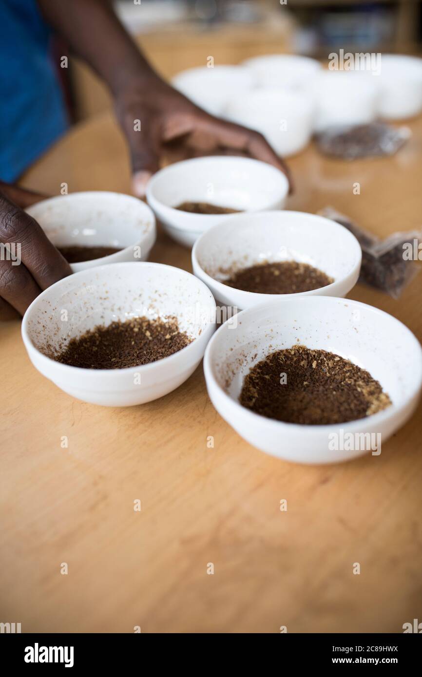 Coffee tasting (cupping) by Q-grader professional tasters at Mountain ...