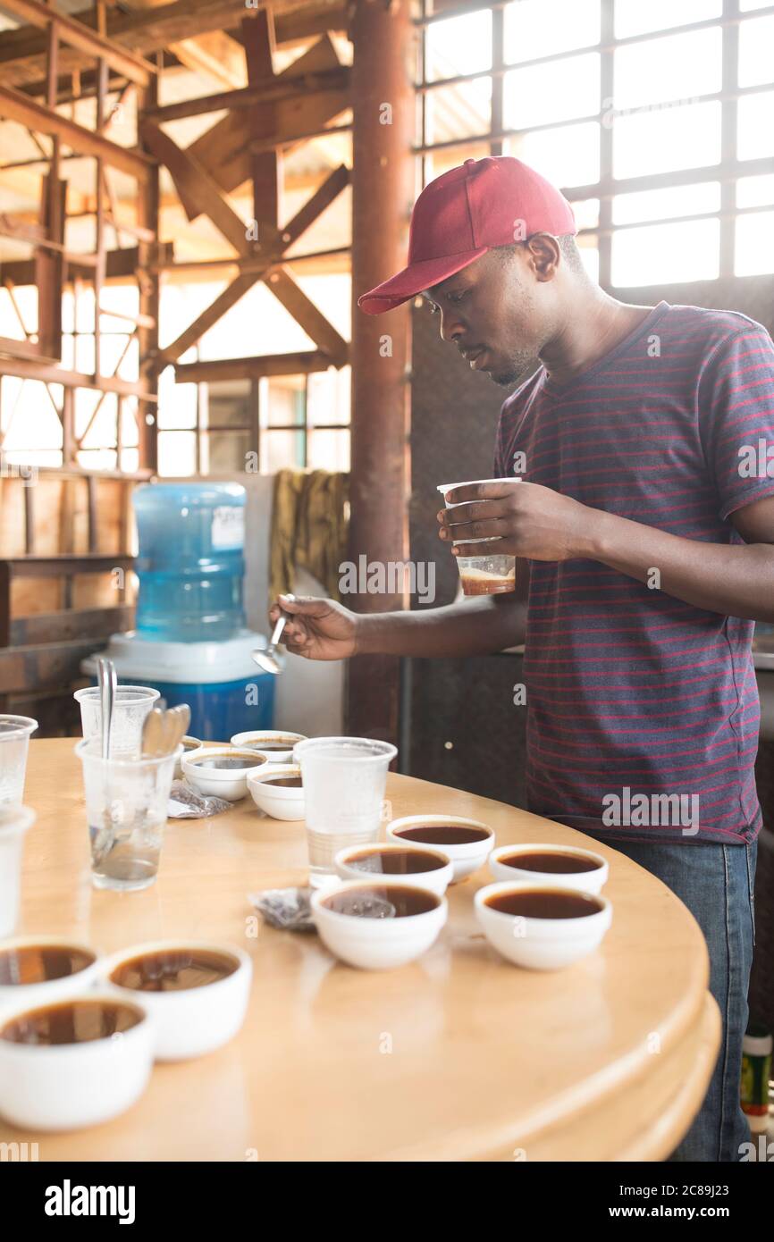 Coffee tasting (cupping) by Q-grader professional tasters at Mountain ...