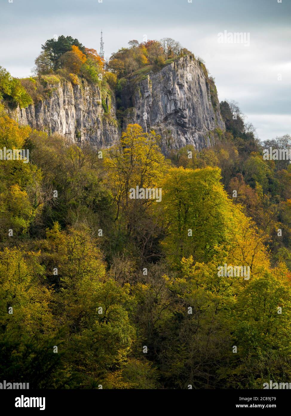 The limestone cliffs with trees in autumn colour at High Tor in Matlock ...