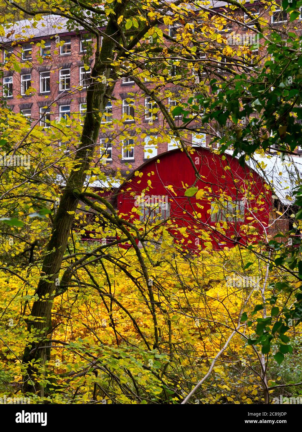 Autumn colour in trees at Matlock Bath with Masson Mill behind in the ...