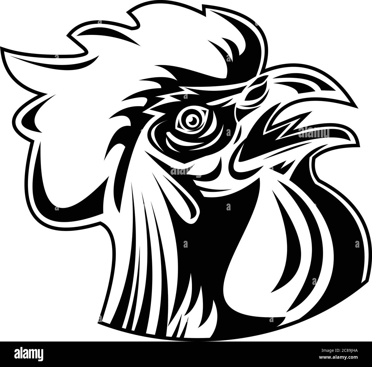 Gallus gallus domesticus vector vectors hi-res stock photography and ...