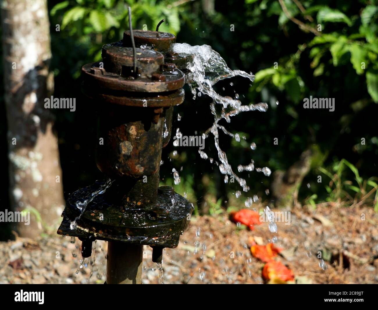 Old public water supply pipe leaking on the road side, wasting water ...