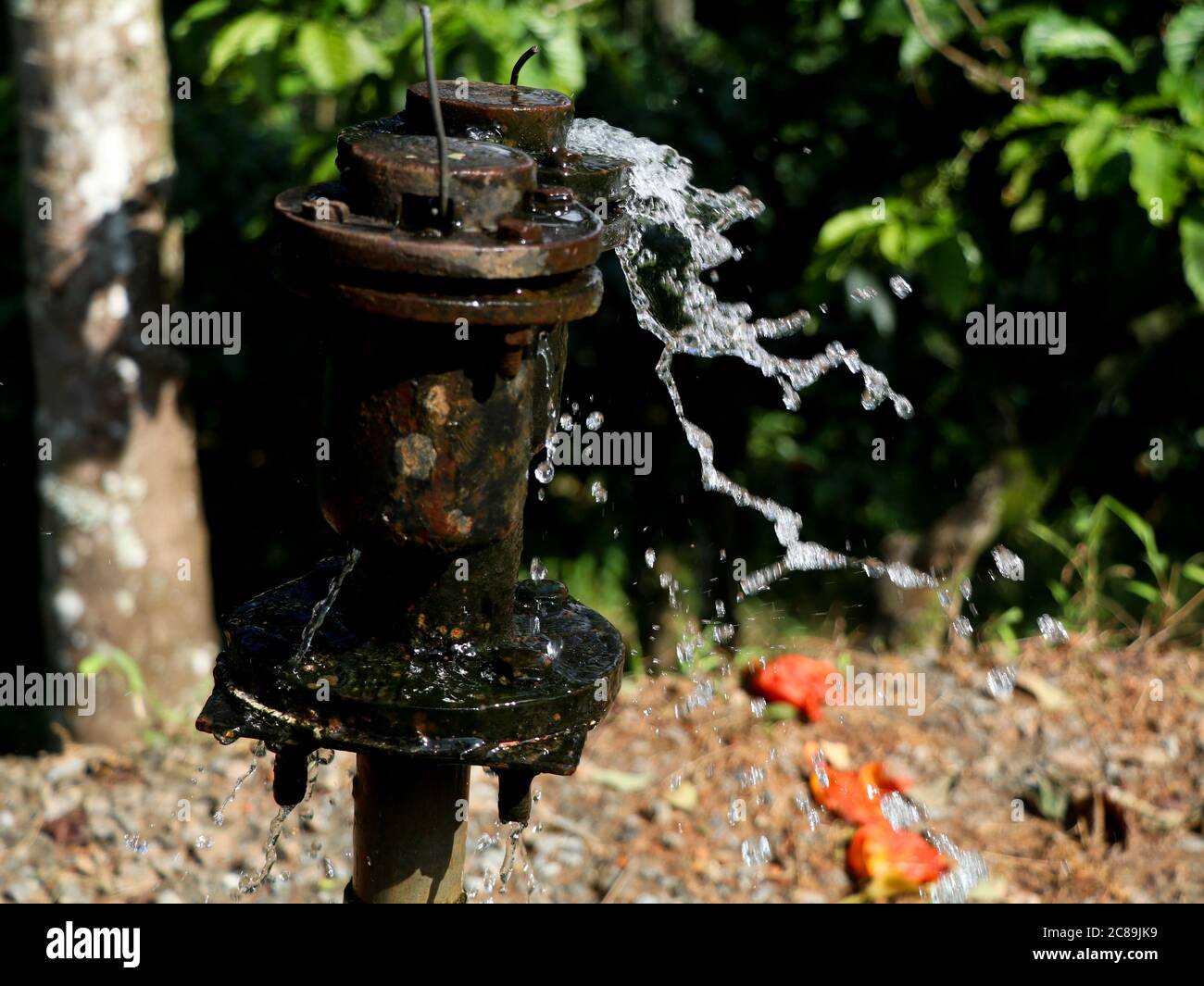 Old public water supply pipe leaking on the road side, wasting water ...