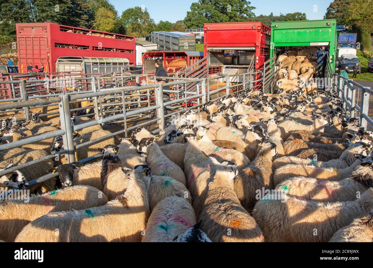 Market uk hi-res stock photography and images - Alamy