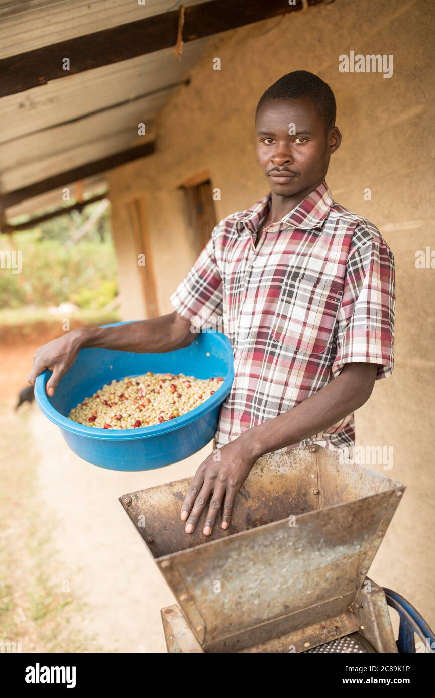 Coffee pulping hi-res stock photography and images - Alamy