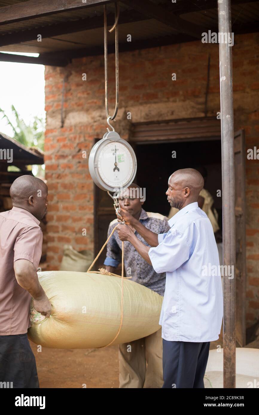 Market scale scales selling weighing hi-res stock photography and ...