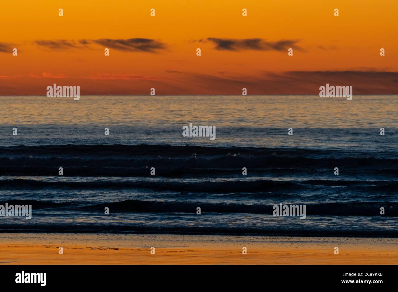 Nehalem bay state park hi-res stock photography and images - Alamy