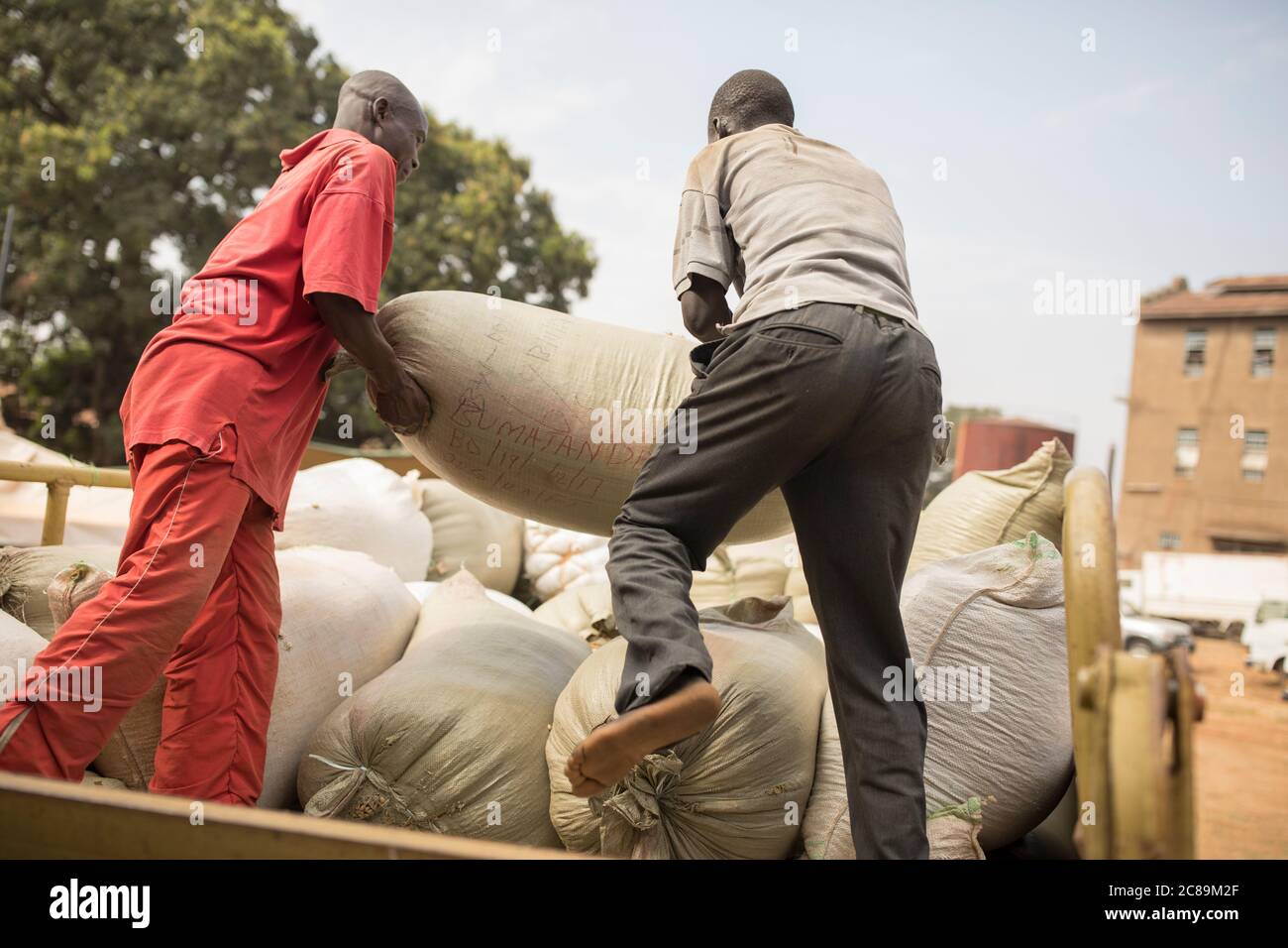 Carrying heavy strong hi-res stock photography and images - Alamy