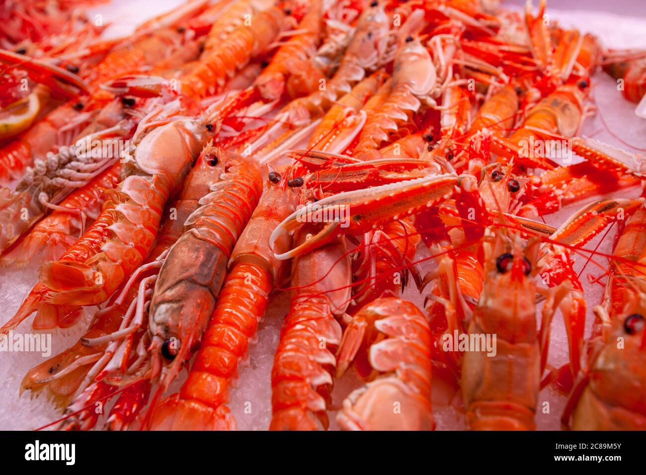 Crayfish In Central Market, Valencia, Spain Stock Photo - Alamy