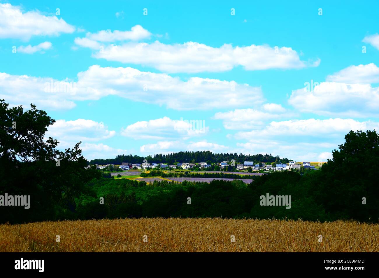 Eifel village with ripe grain and purple field Stock Photo - Alamy