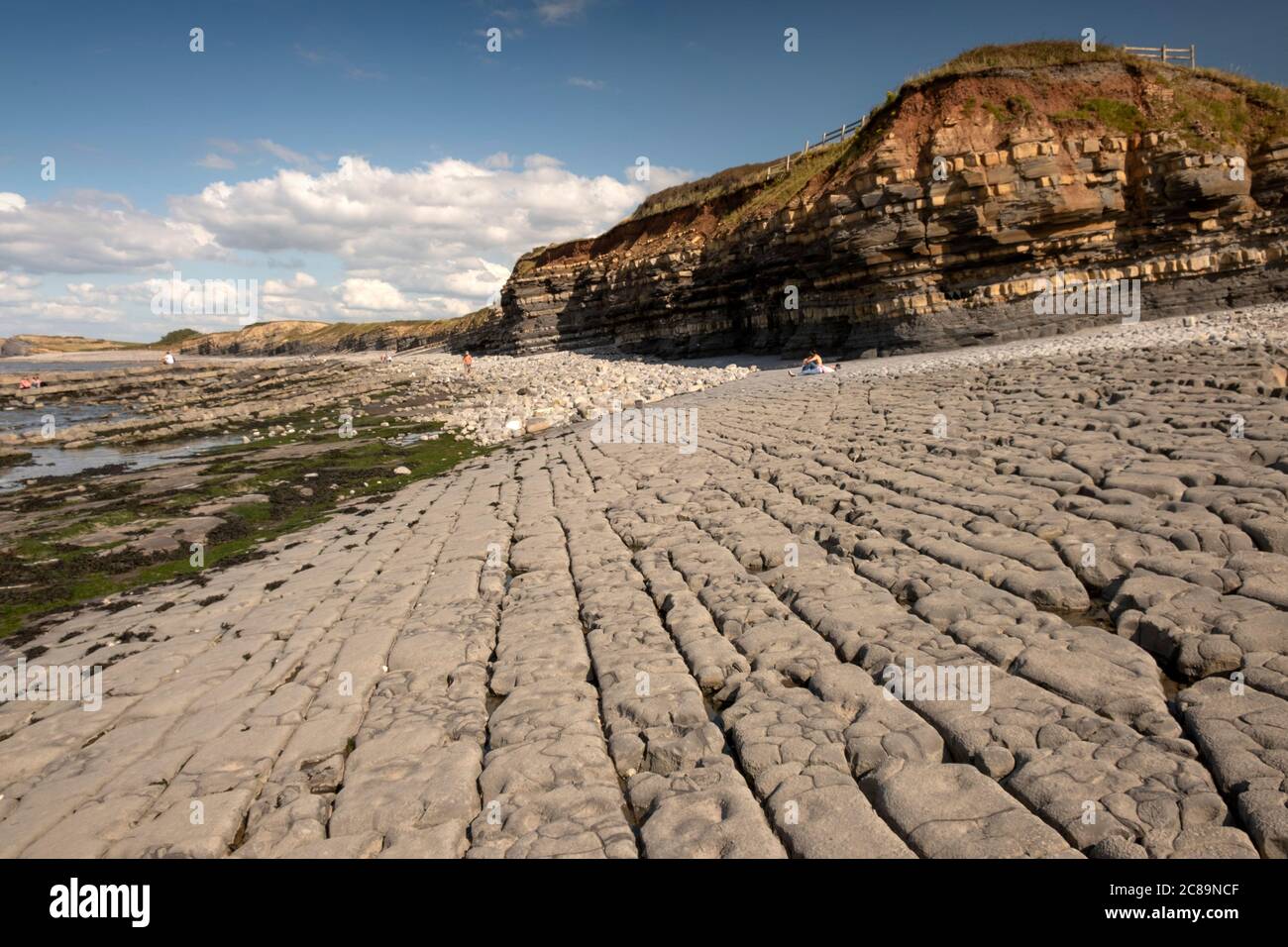 Kilve Beach, Somerset, UK, noted for it's fossils, geological ...