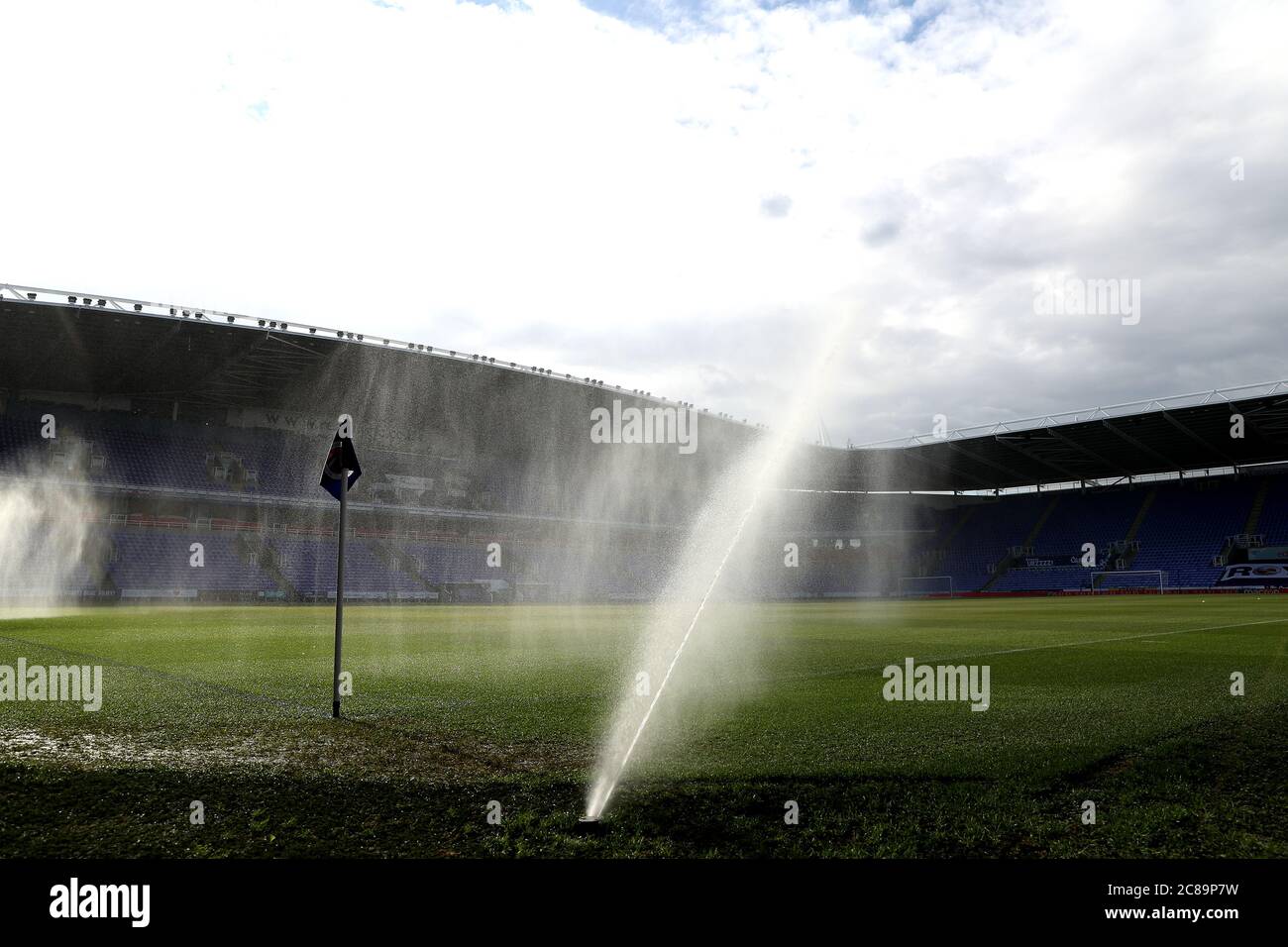 Madejski Grass High Resolution Stock Photography and Images - Alamy