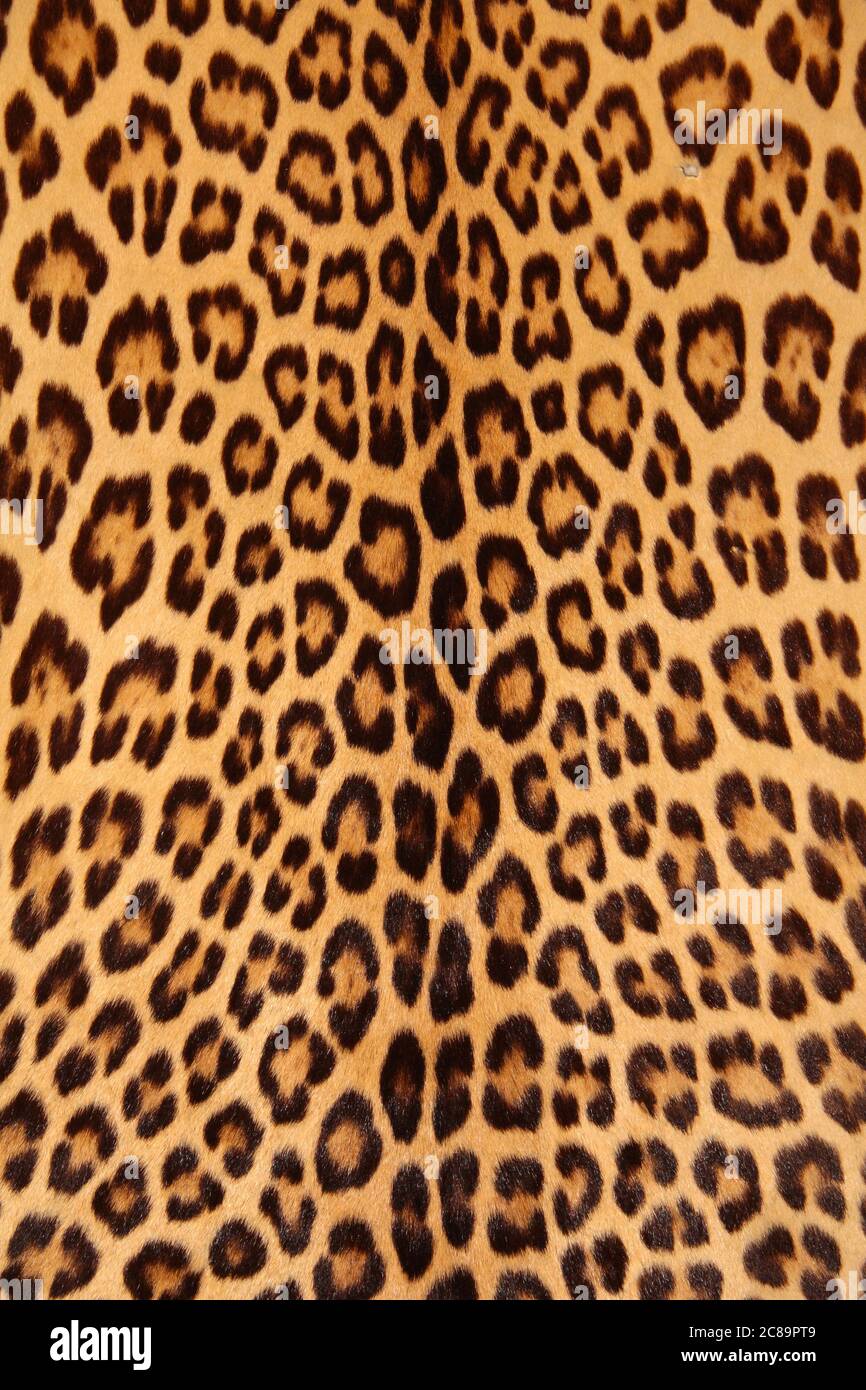 Brown spotted leopard skin background pattern Stock Photo - Alamy