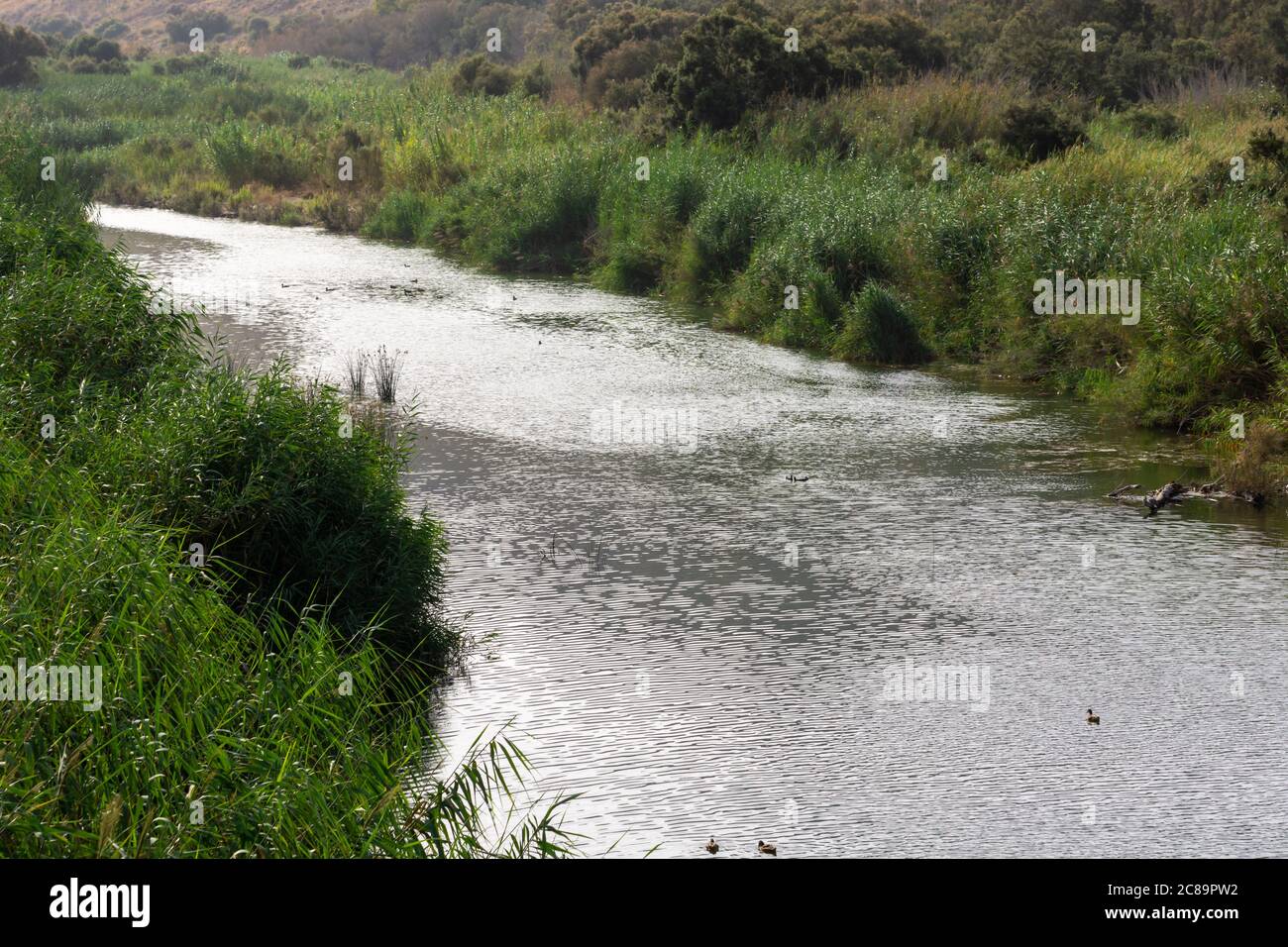 Calm river with silver highlights Stock Photo - Alamy