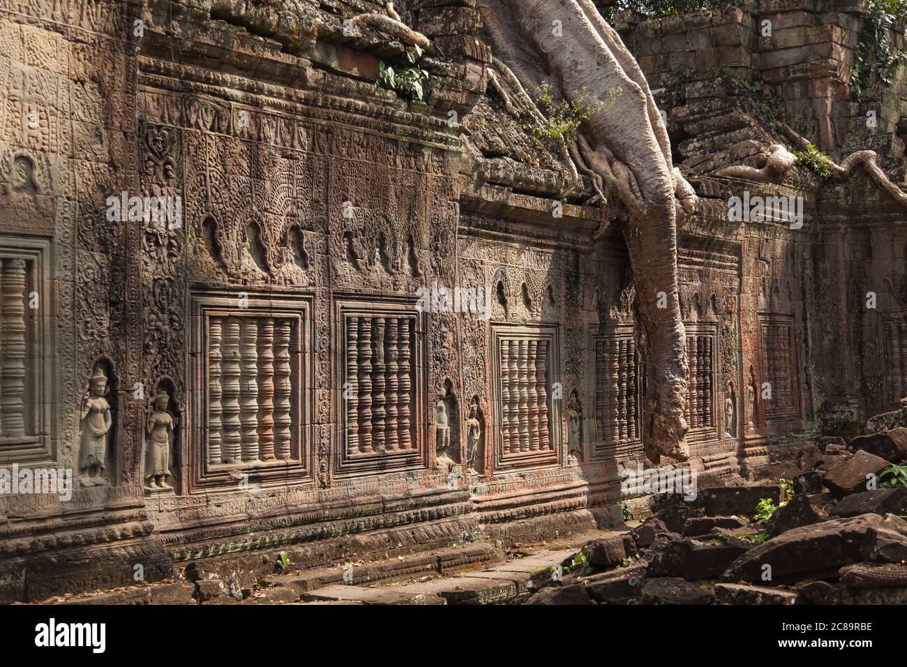 Ta Prohm, Angkor Wat, Cambodia, trees engulfing the temple structures ...