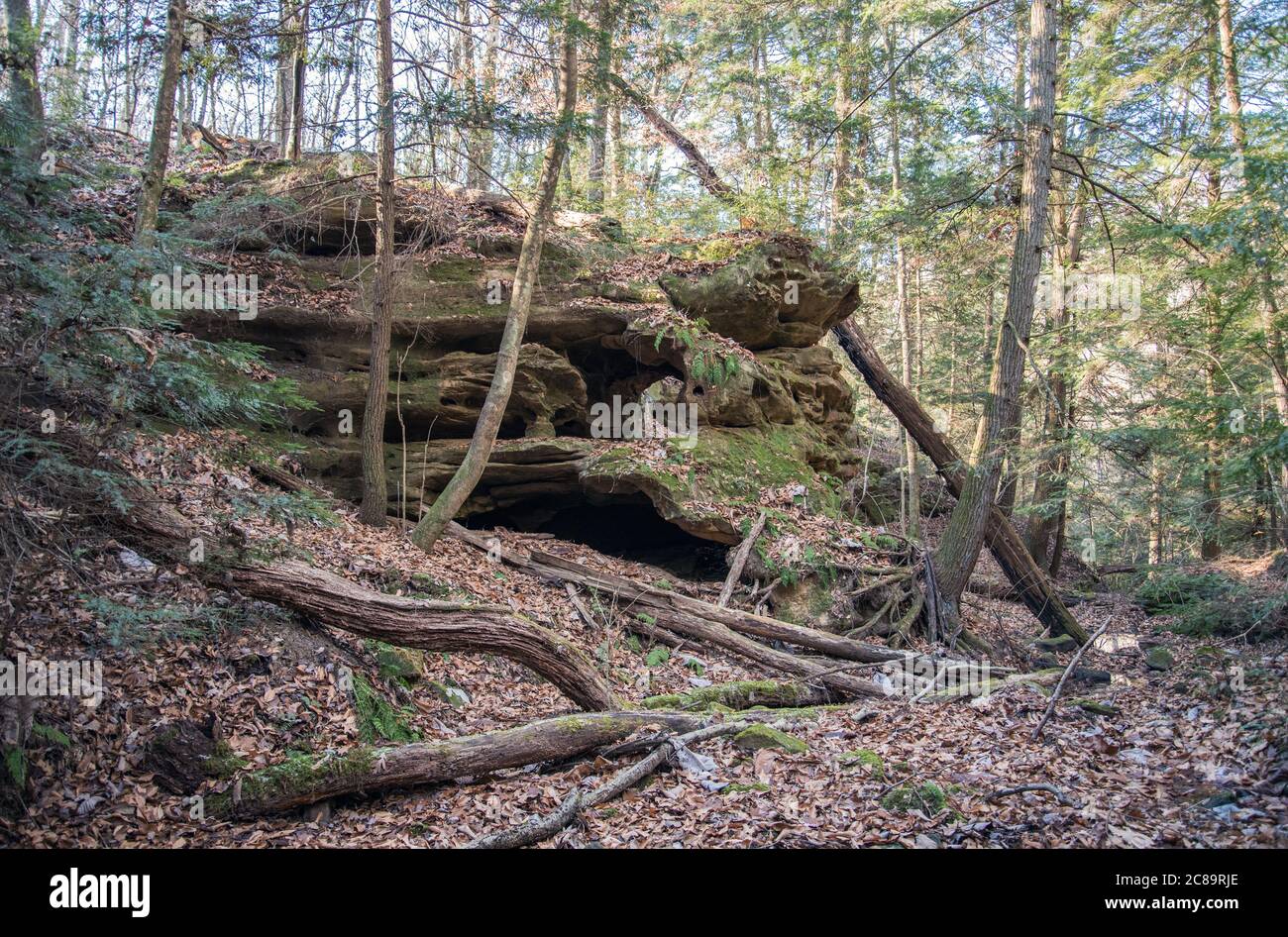 Mammoth cave hi-res stock photography and images - Alamy