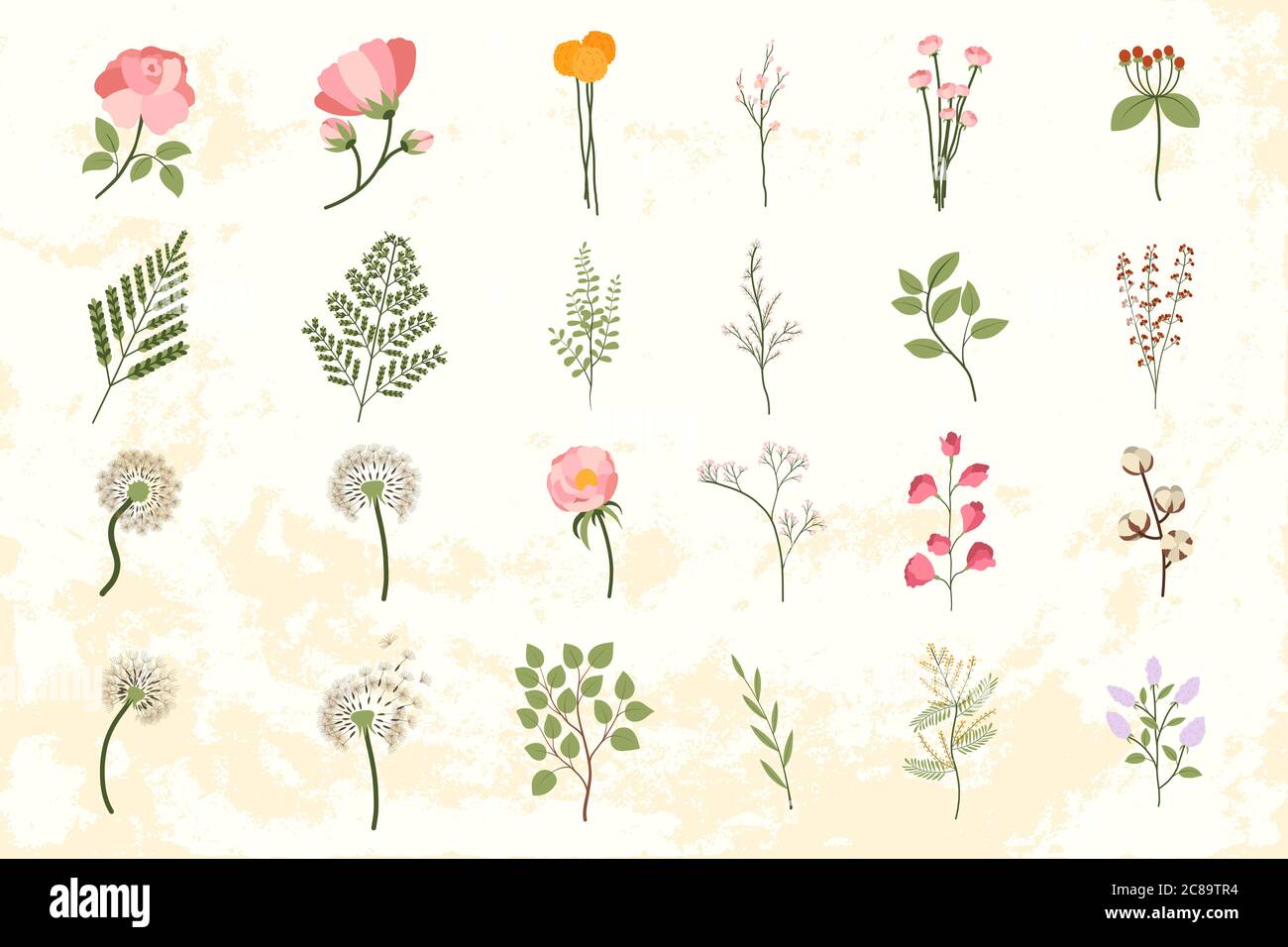 Set berry leaves flower Stock Vector Images - Alamy