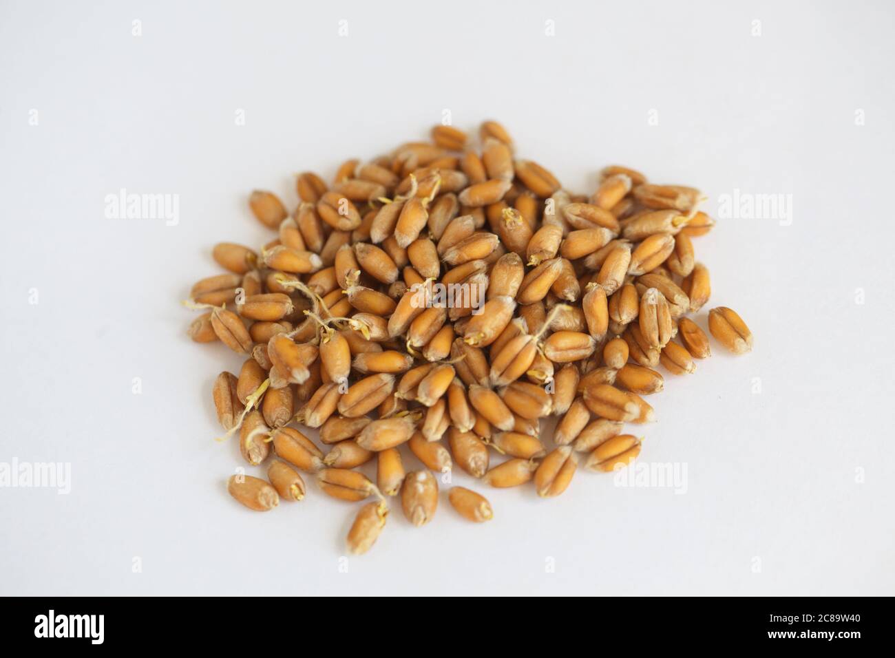 Dried grain wheat sprouts bio food Stock Photo - Alamy