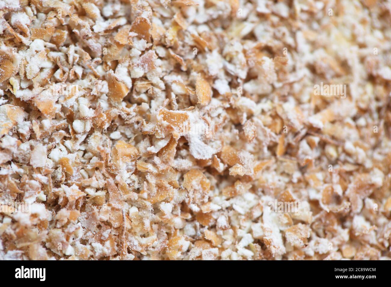 Dried grain wheat sprouts bio food Stock Photo - Alamy