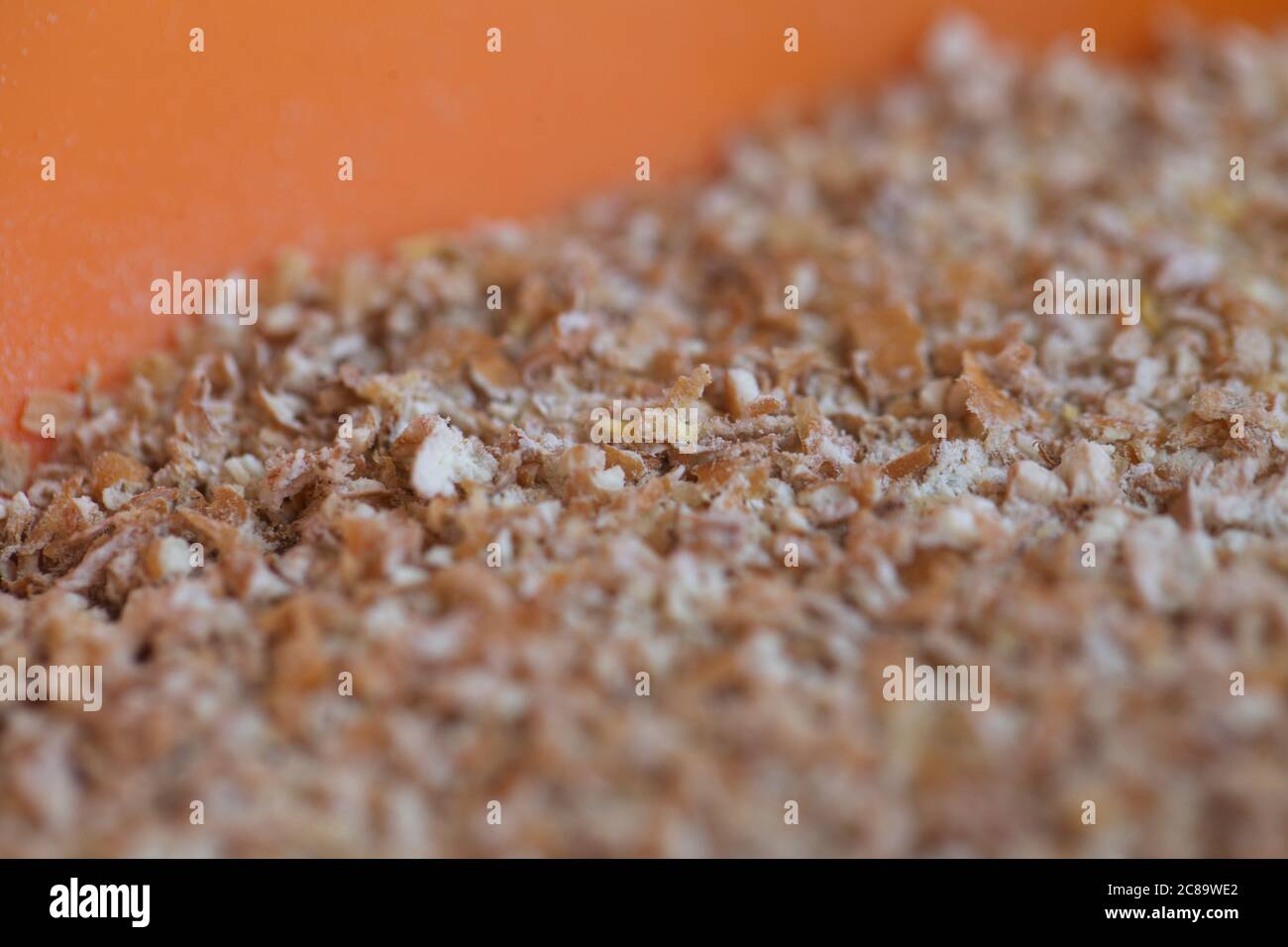 Dried grain wheat sprouts bio food Stock Photo - Alamy