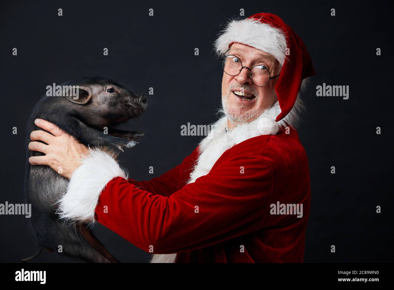 Father Christmas with black little piglet over black background ...