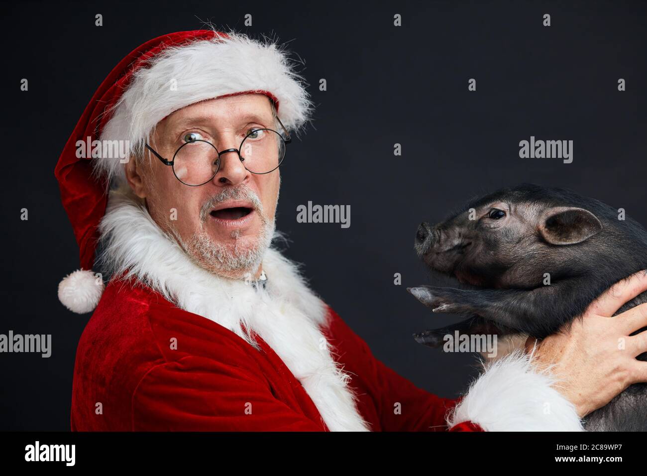 Father Christmas with black little piglet over black background ...