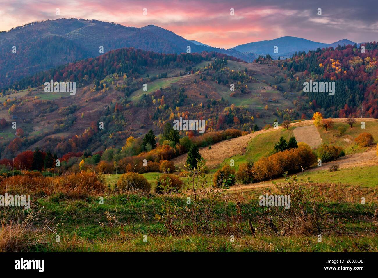 autumnal rural landscape at dusk. beautiful countryside in mountains ...