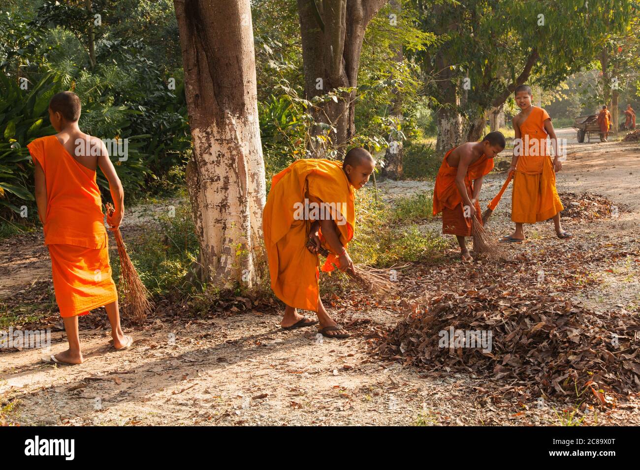Jain Monks Sweeping