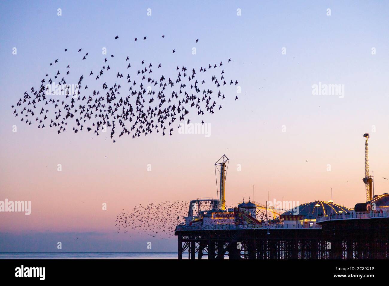 Starling Murmuration, Brighton Pier, Brighton, East Sussex, UK Stock ...