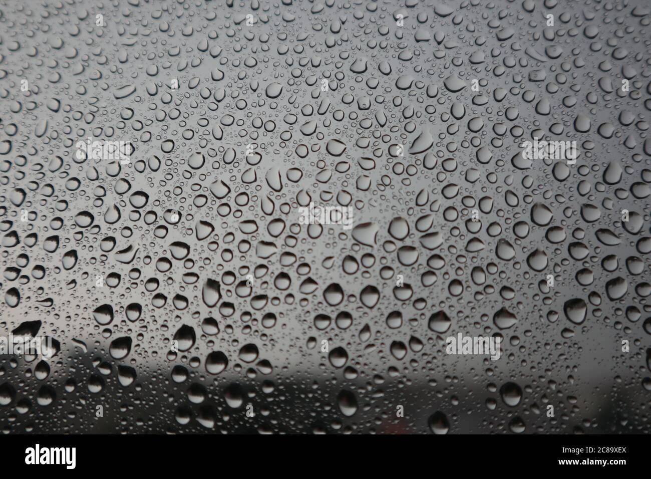Closeup shot of large round water droplets on a glass after rainfall ...