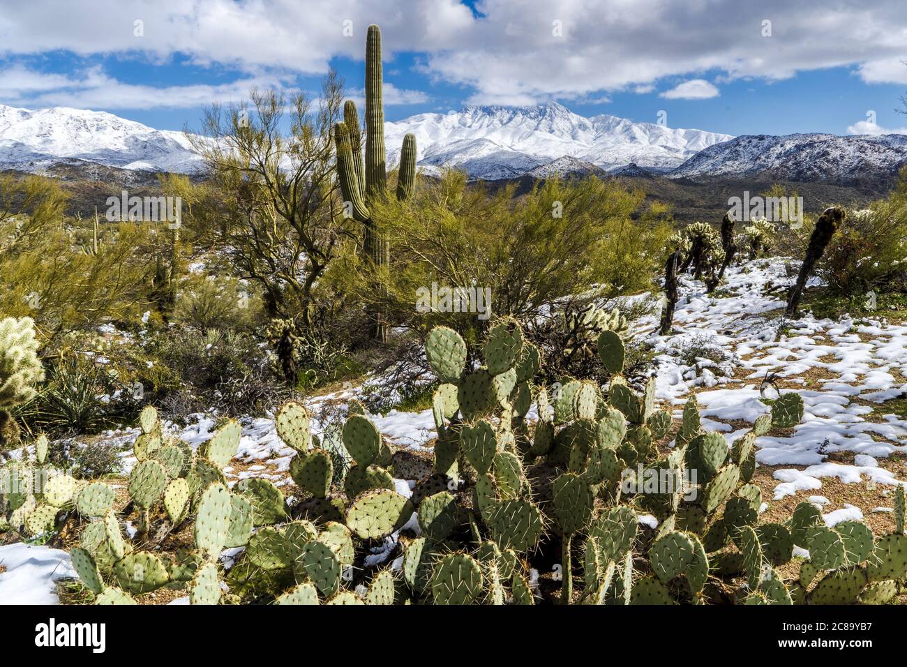Snow in the desert Stock Photo - Alamy