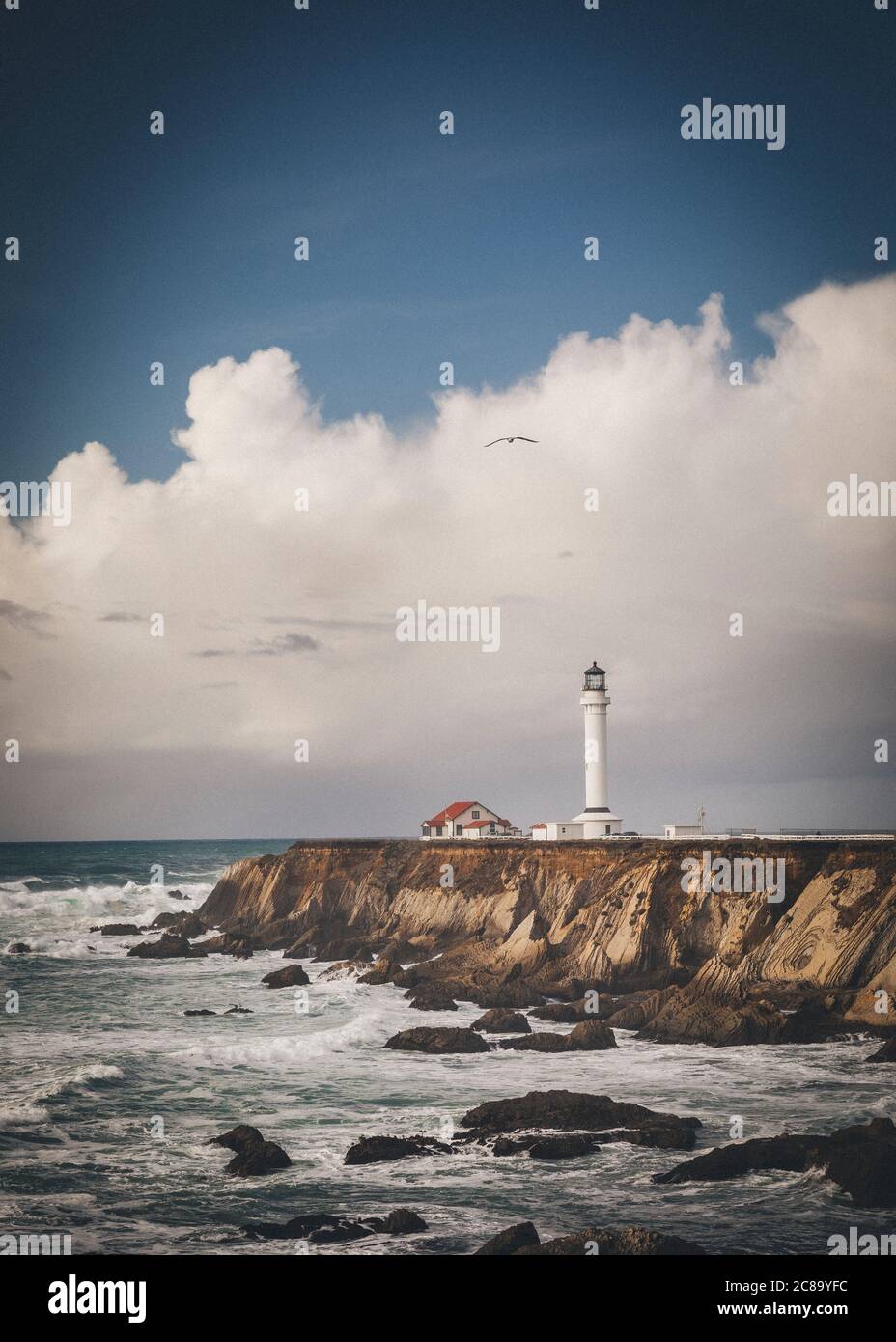 Lighthouse on the pacific coast, Point Arena, California Stock Photo ...
