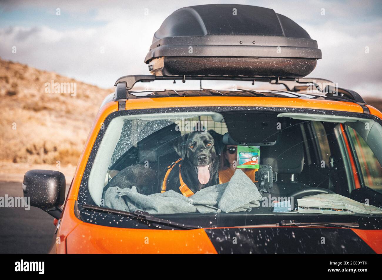 A dog is sitting inside a car in a desert of California Stock Photo - Alamy