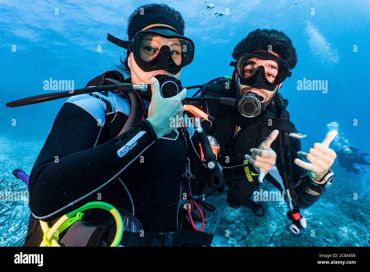 dive buddies on the Greta Barrier Reef in Australia Stock Photo - Alamy