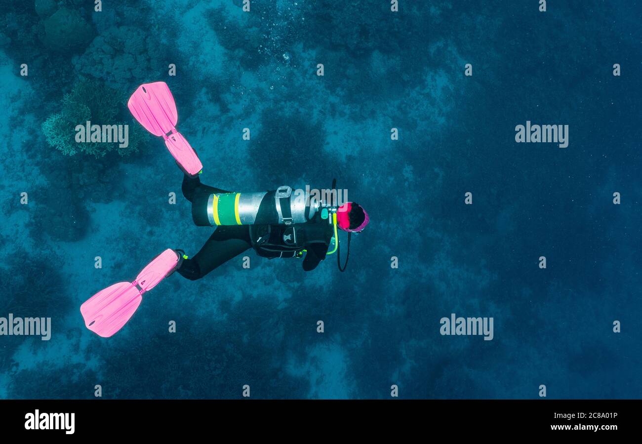 diver exploring the great Barrier Reef Stock Photo - Alamy