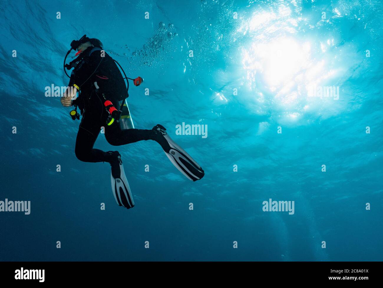 diver ascending to the surface at the Great Barrier Reef Stock Photo ...