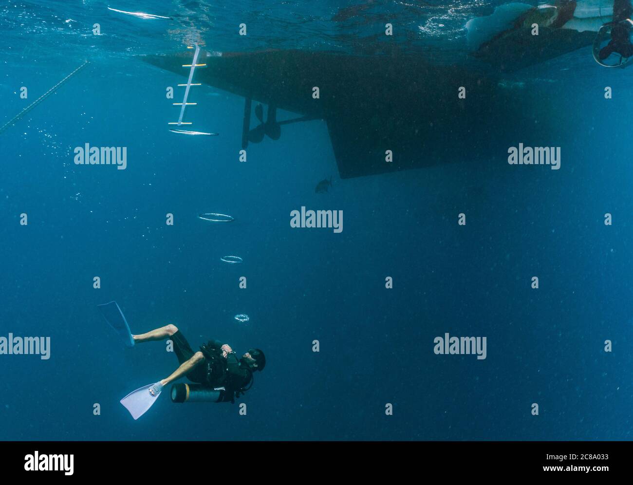 Diver approaching dive boat at the great Barrier Reef Stock Photo - Alamy