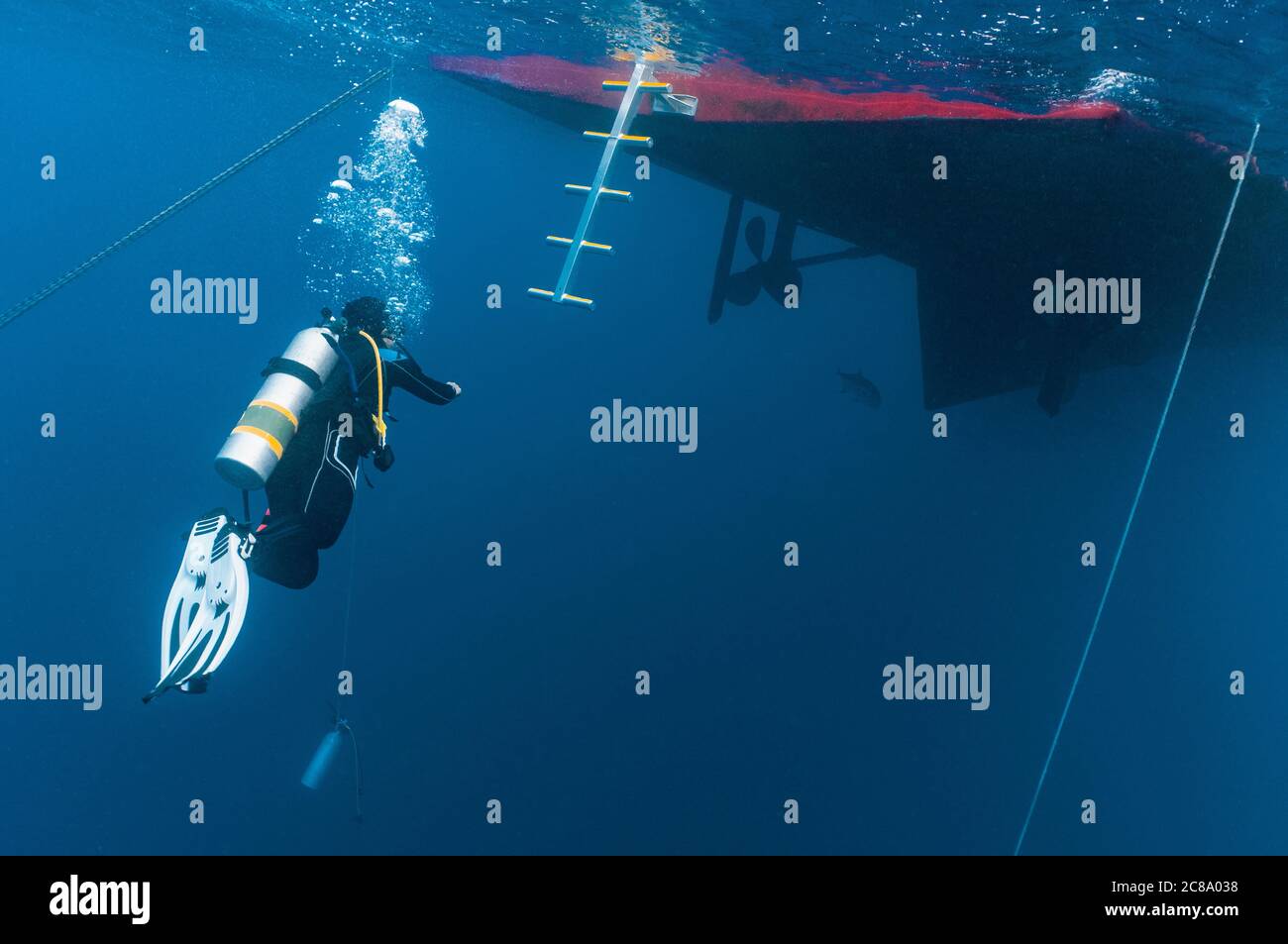Diver approaching dive boat at the great Barrier Reef Stock Photo - Alamy