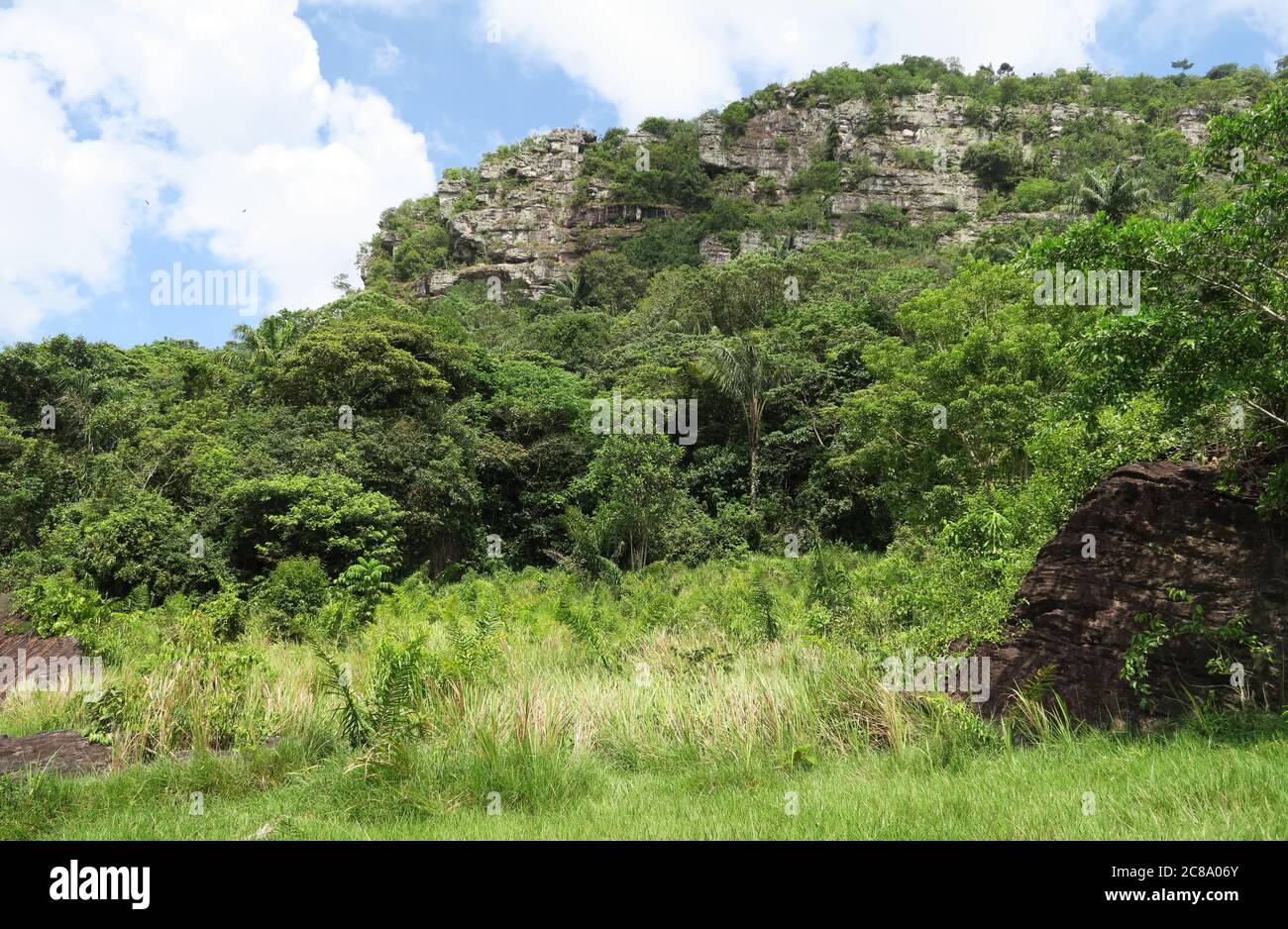 habitat for Guianan cock-of-the-rock lek, also ancient rock art La ...
