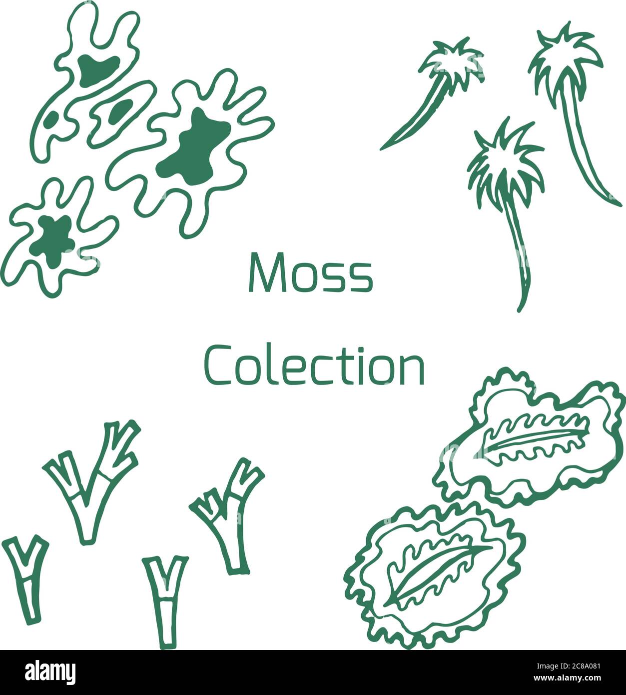 Moss element vector collection for design, background and card. Hand ...
